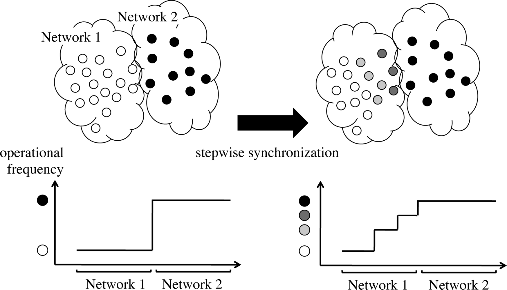 An Inter-Networking Mechanism with Stepwise Synchronization for Wireless Sensor Networks