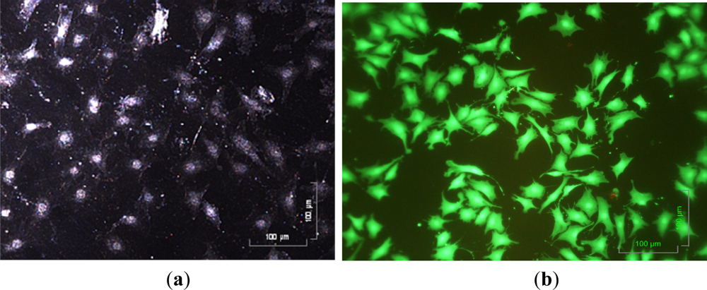 Development of an Integrated Microfluidic Perfusion Cell Culture System ...