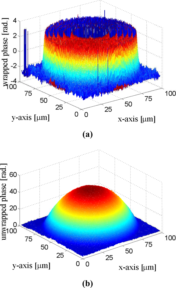 Efficient Phase Unwrapping Architecture for Digital Holographic Microscopy