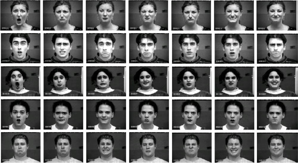 Facial Expression Recognition Based on Local Binary Patterns and Kernel ...