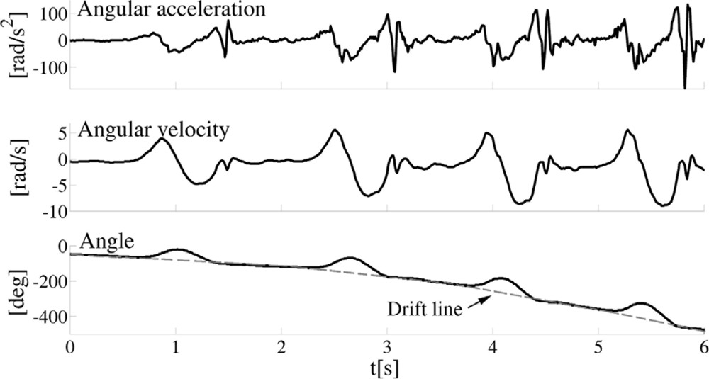 Kinematics of Gait: New Method for Angle Estimation Based on Accelerometers