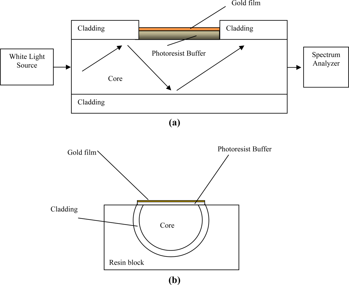Low Cost Sensors Based on SPR in a Plastic Optical Fiber for Biosensor ...