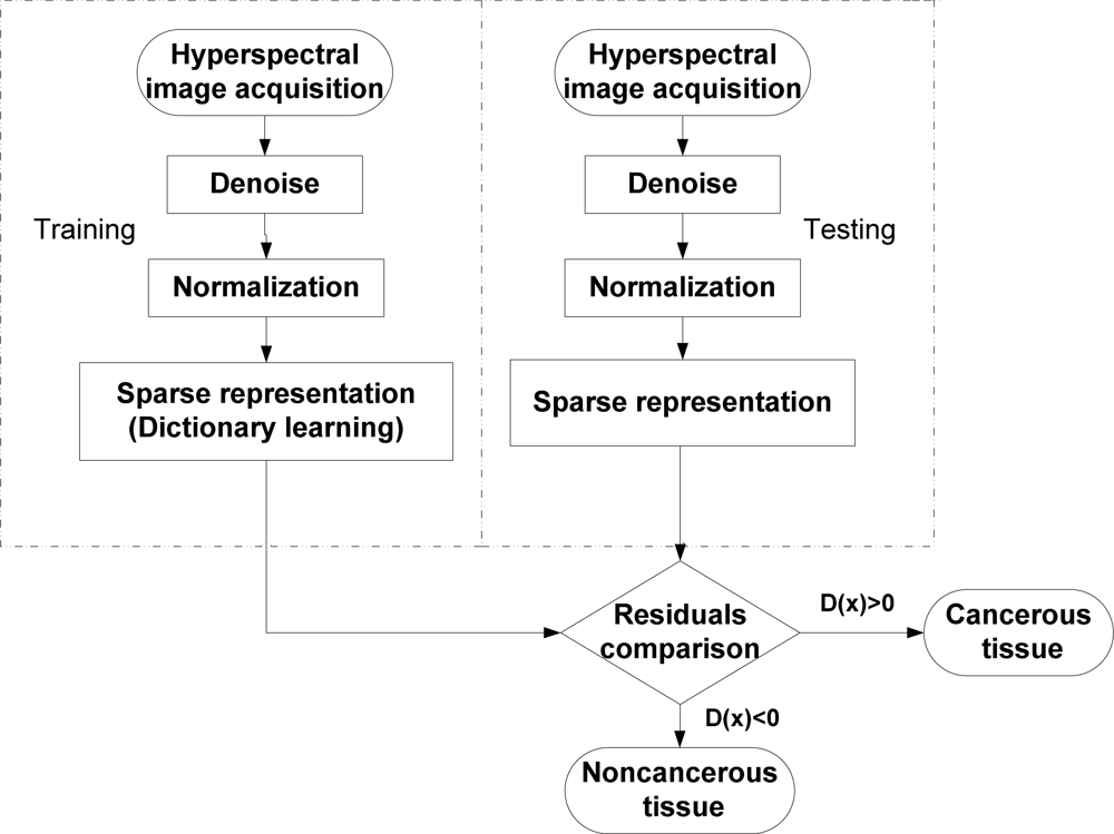 Tongue Tumor Detection in Medical Hyperspectral Images