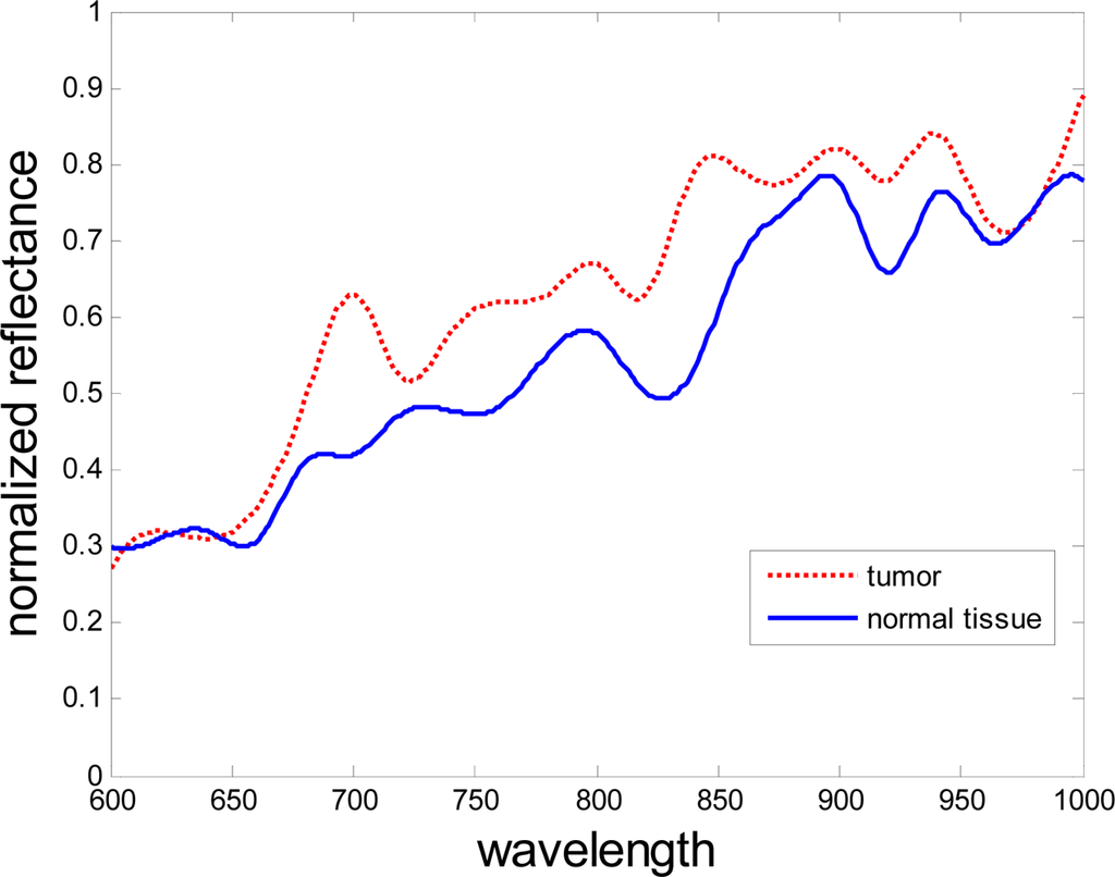 Tongue Tumor Detection in Medical Hyperspectral Images