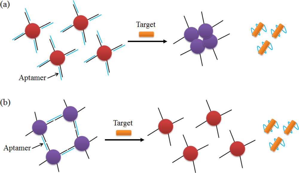 Aptamers and Their Biological Applications