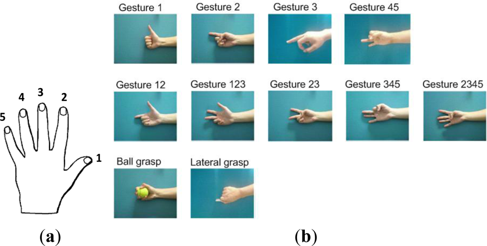 Hand Motion Classification Using a Multi-Channel Surface ...