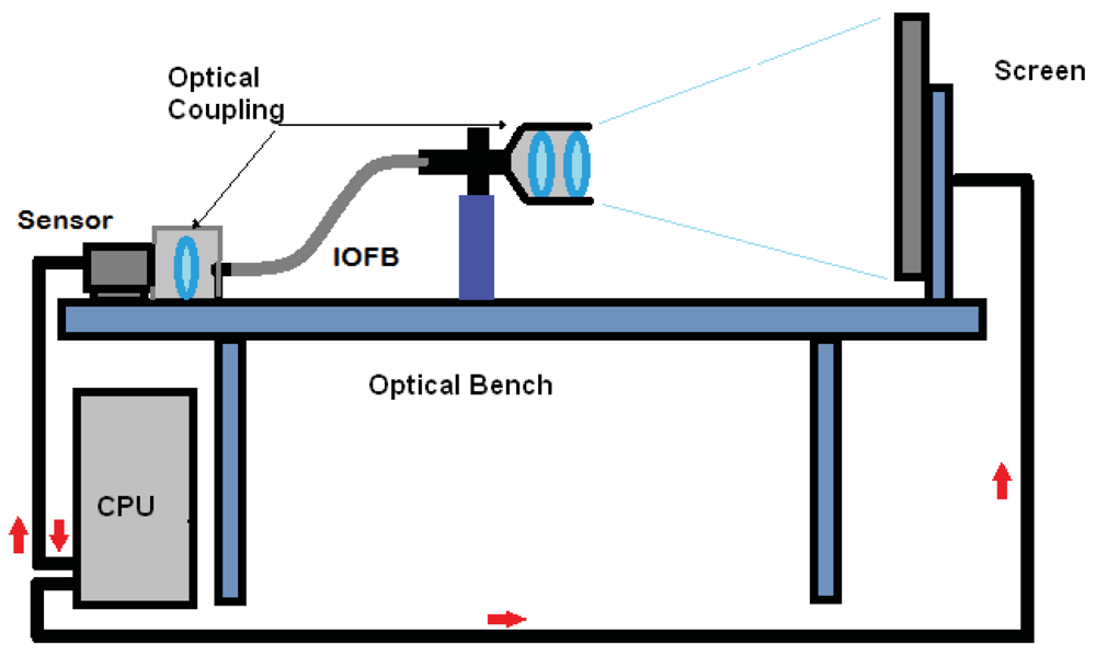 Differential Binary Encoding Method for Calibrating Image Sensors Based on IOFBs