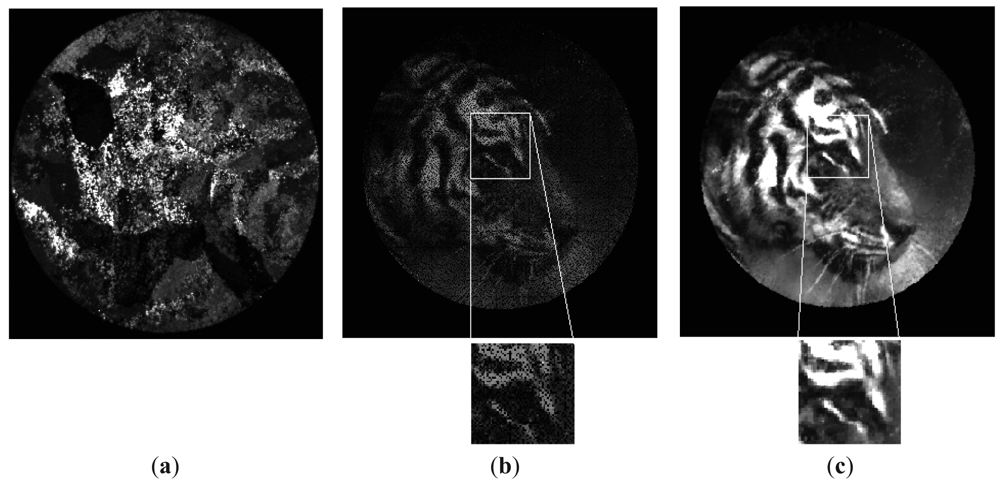 Differential Binary Encoding Method for Calibrating Image Sensors Based on IOFBs