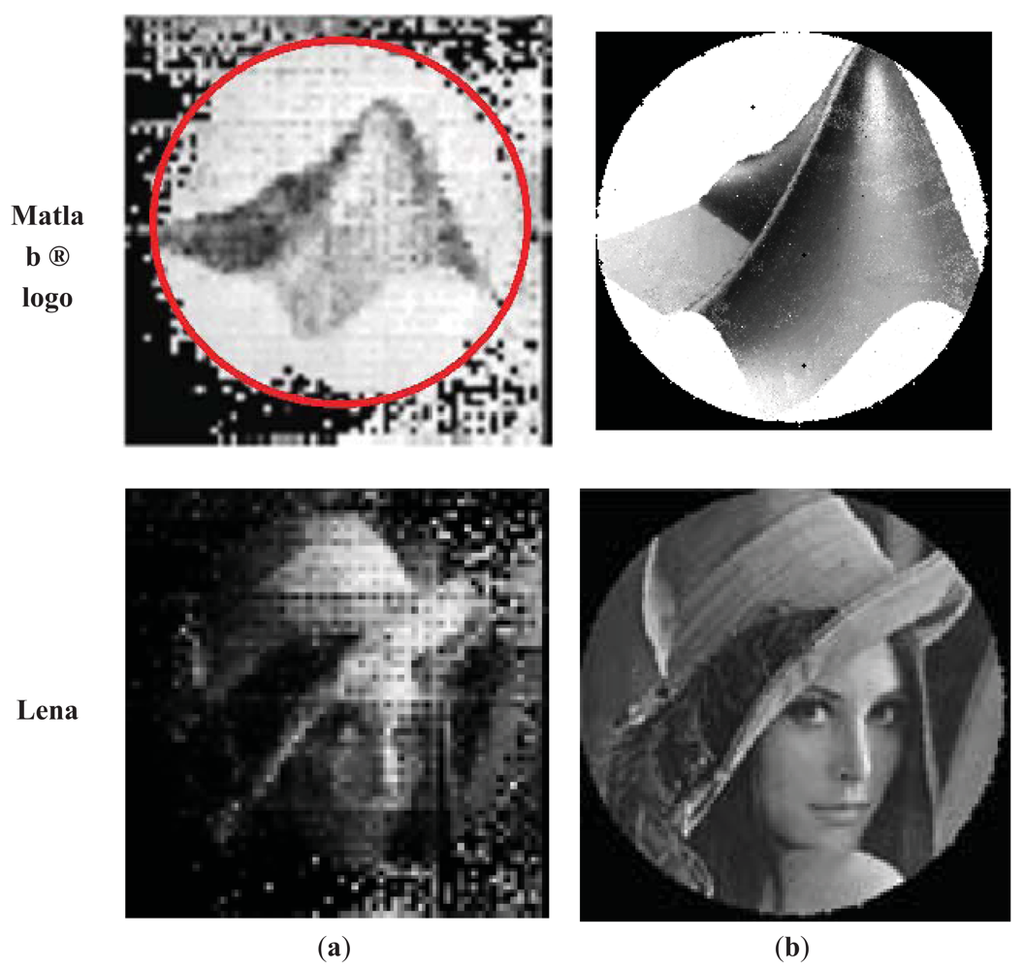 Differential Binary Encoding Method for Calibrating Image Sensors Based on IOFBs