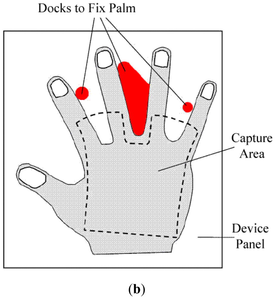 Sensors Free Full Text Multispectral Palmprint Recognition Using A Quaternion Matrix