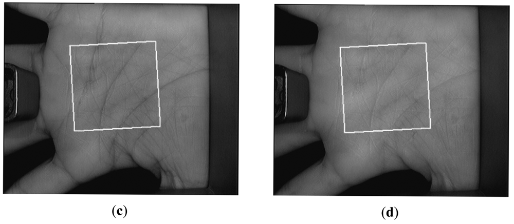 Sensors Free Full Text Multispectral Palmprint Recognition Using A Quaternion Matrix