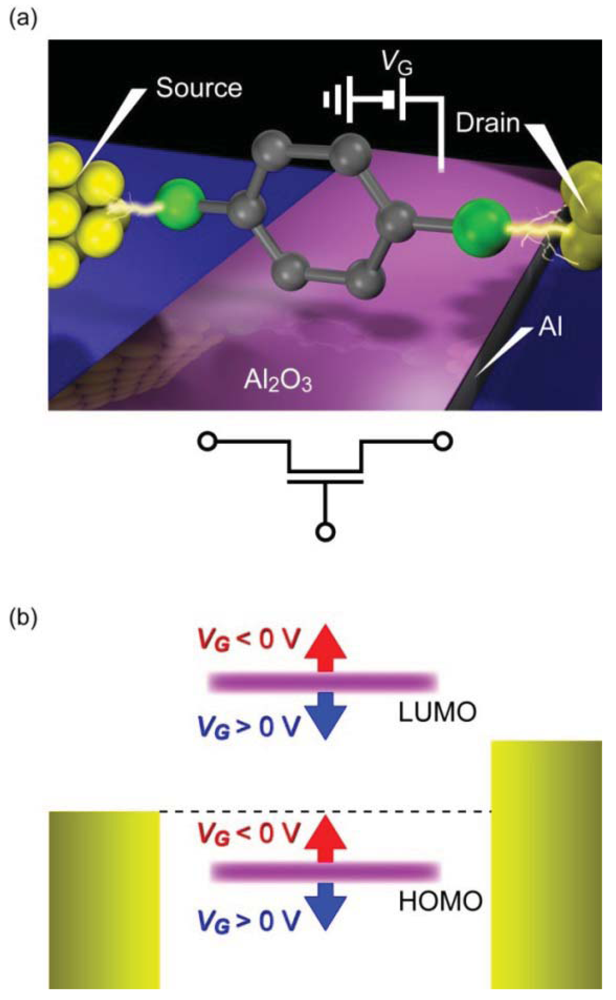 Single Molecule Electronics and Devices