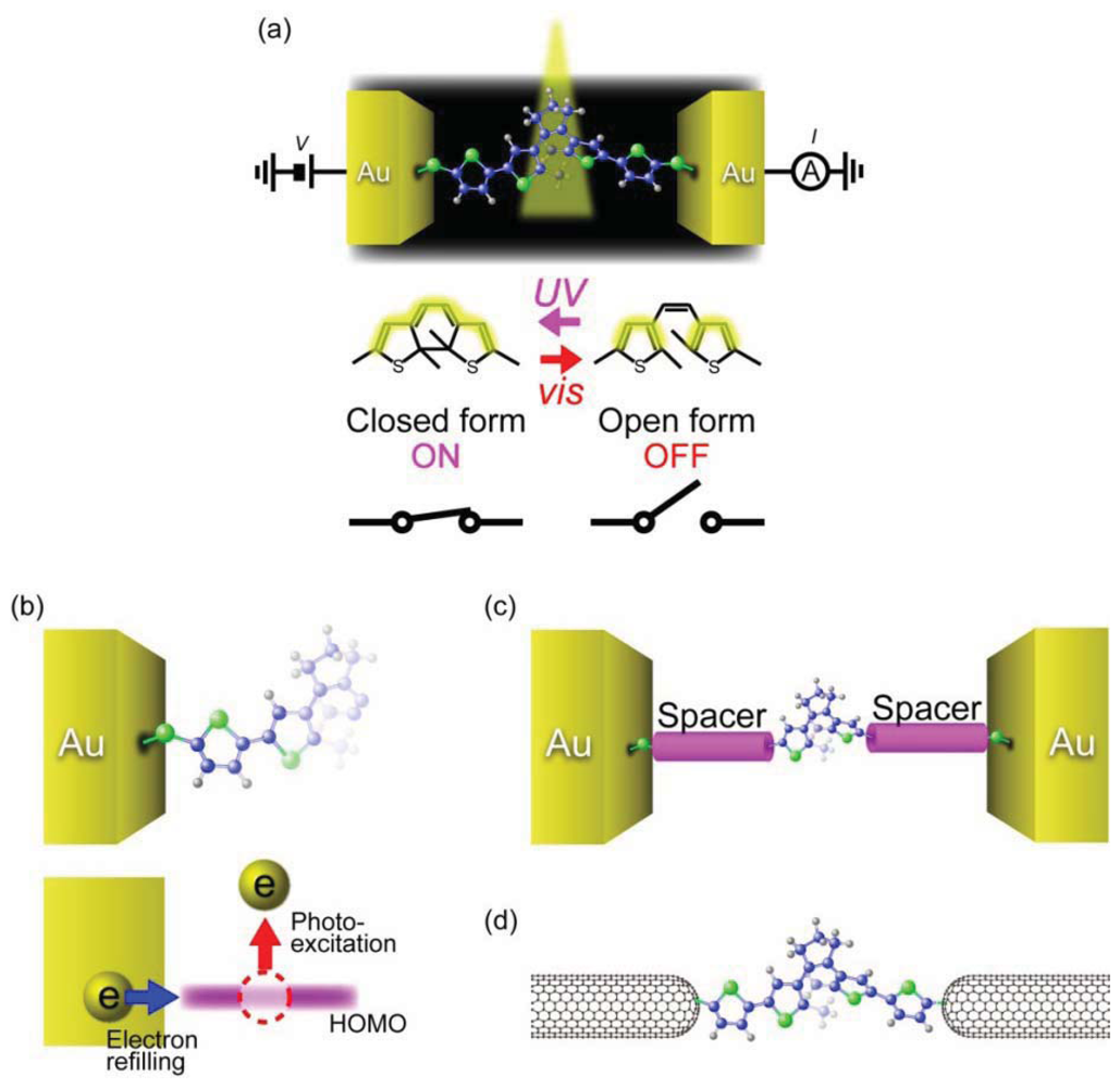 Single Molecule Electronics and Devices