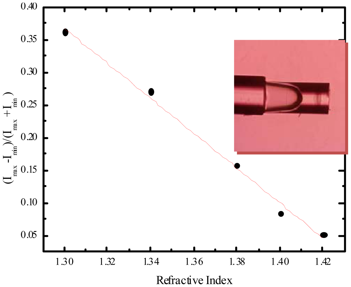 Fiber Optic-Based Refractive Index Sensing at INESC Porto