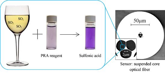 Sensors | Free Full-Text | Sensing Free Sulfur Dioxide in Wine