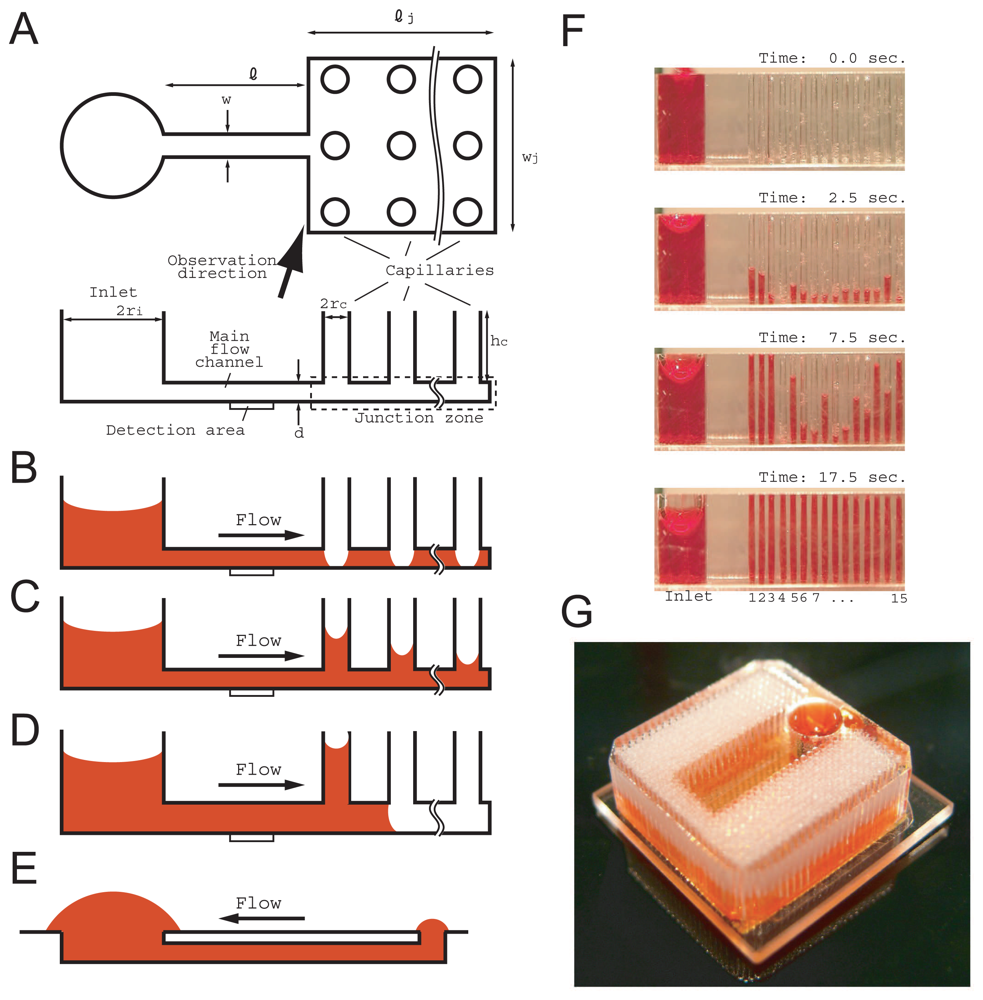 Cooperative Suction by Vertical Capillary Array Pump for Controlling ...