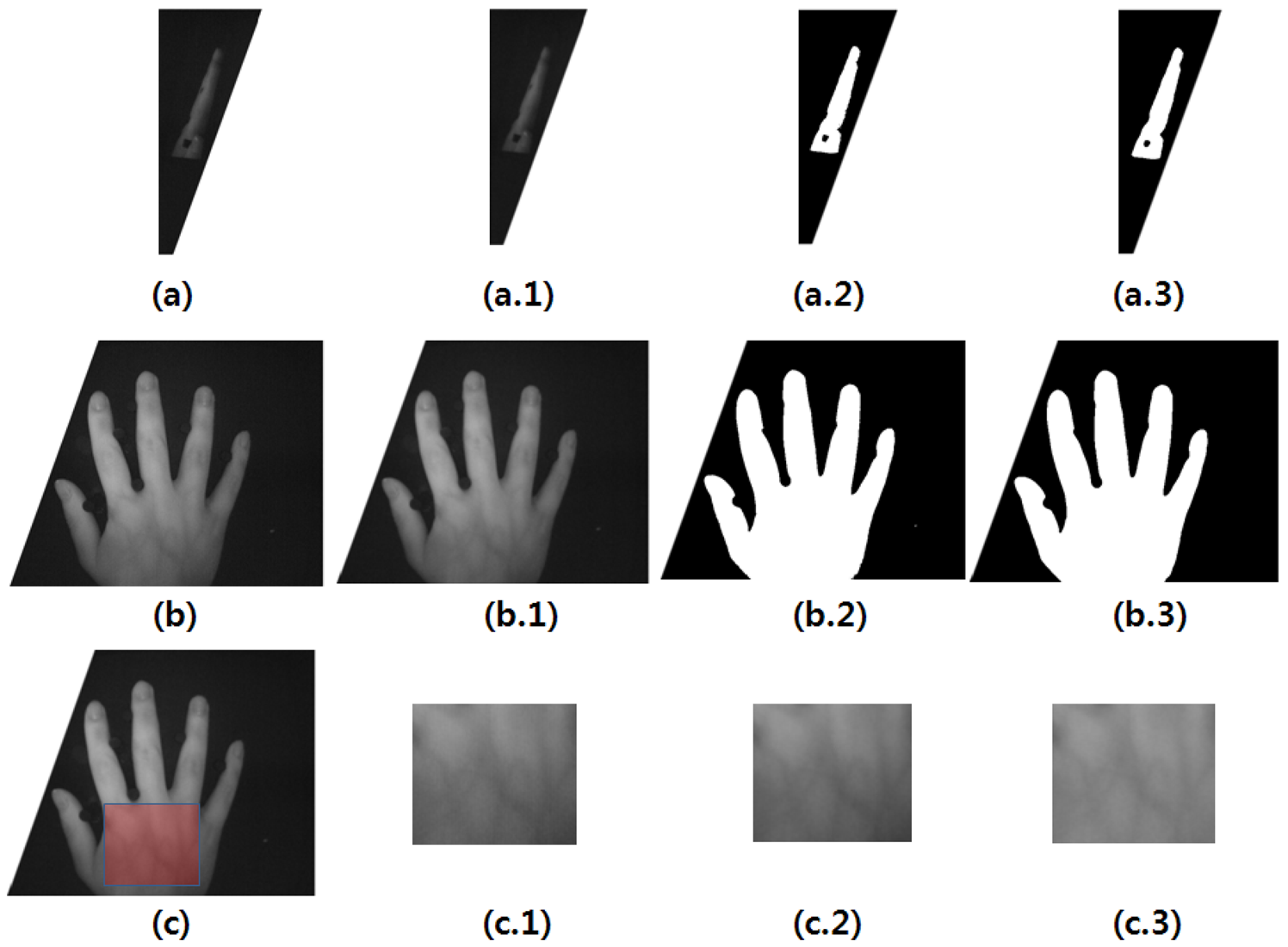 Hand Biometric Recognition Based on Fused Hand Geometry and Vascular Patterns