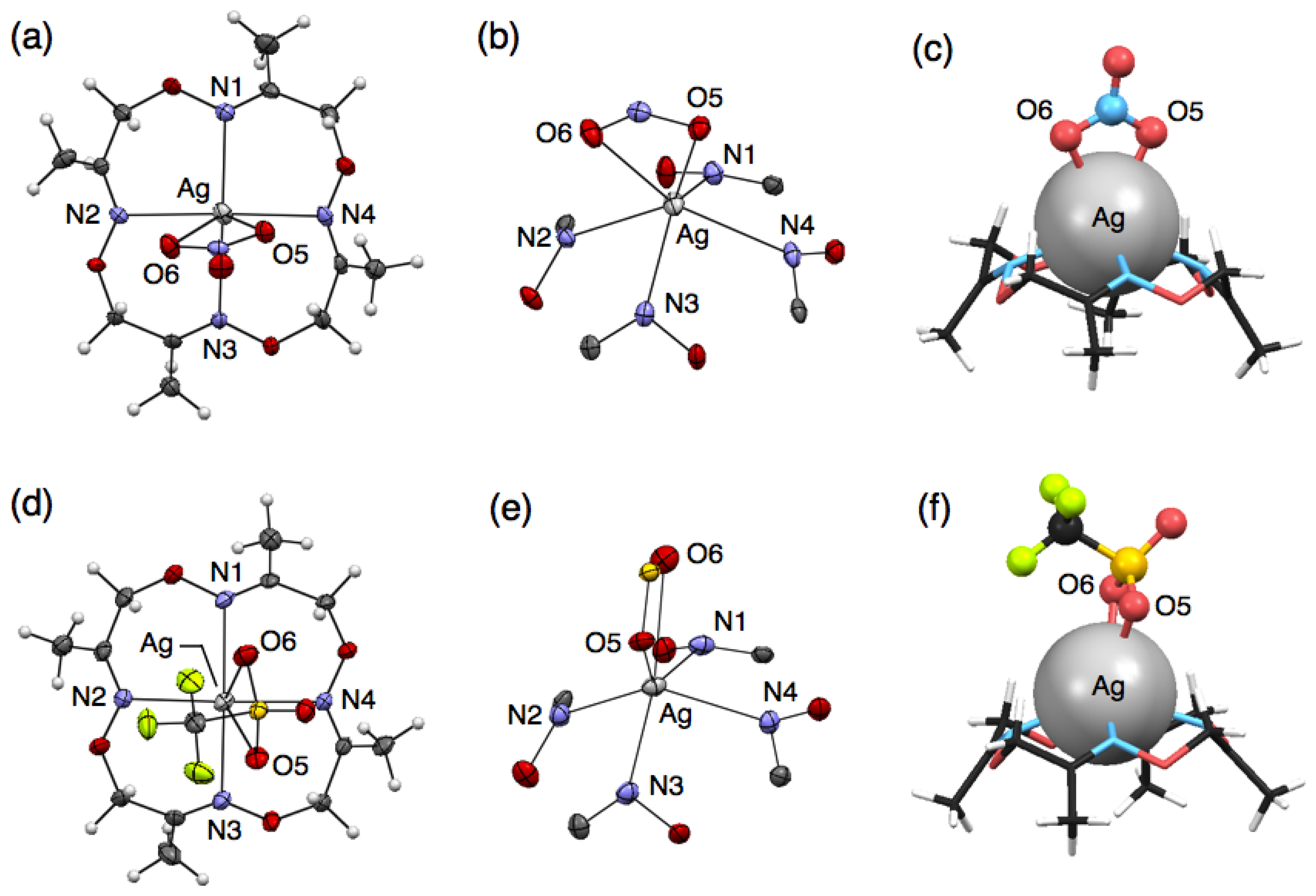 Discrete and Polymeric, Mono- and Dinuclear Silver Complexes of a ...