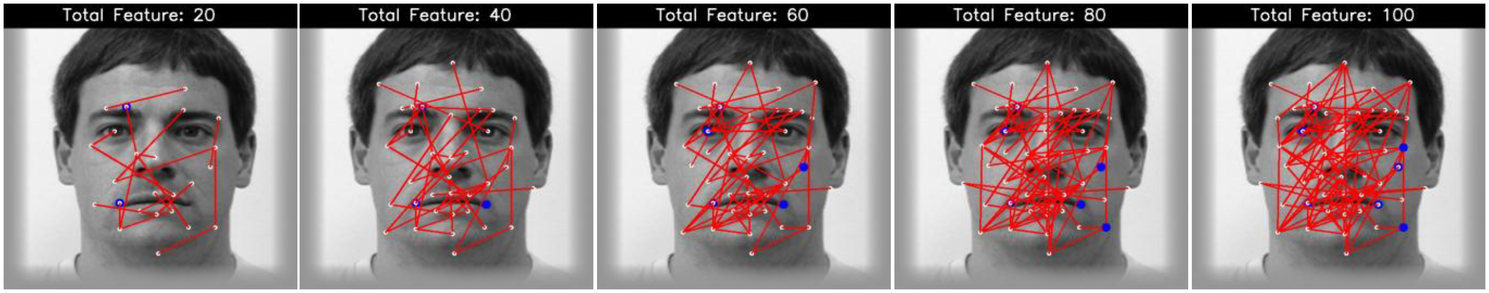 Geometric Feature-Based Facial Expression Recognition in Image Sequences Using Multi-Class ...