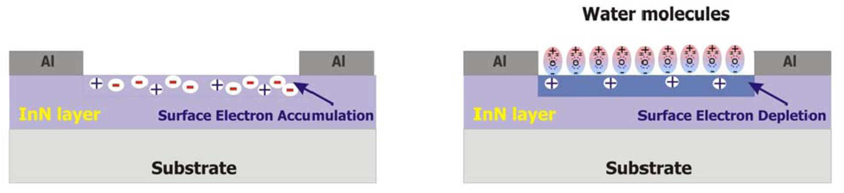 InN Based Water Condensation Sensors on Glass and Flexible Plastic ...