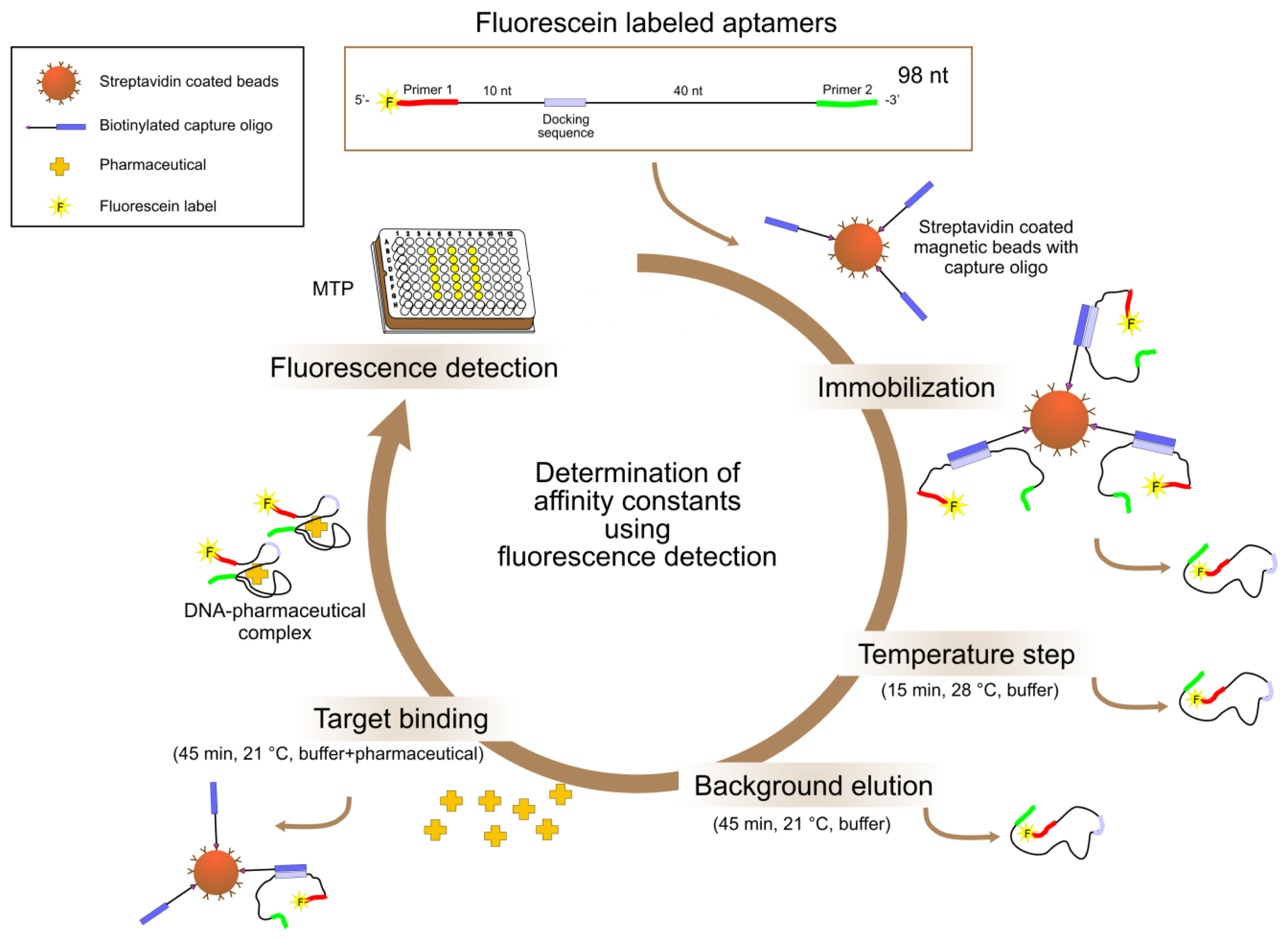 Sensors Free Full Text Dna Aptamers Binding Aminoglycoside Antibiotics