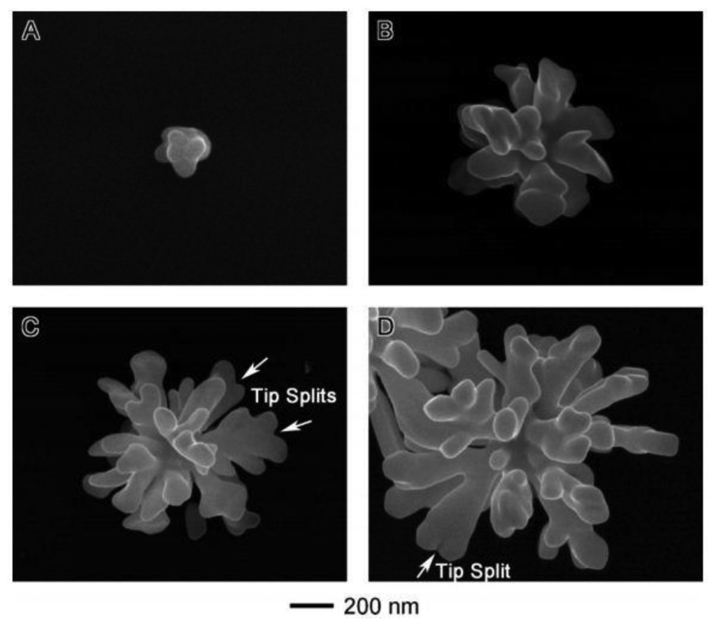 Synthesis of Silver Nanostructures by Multistep Methods