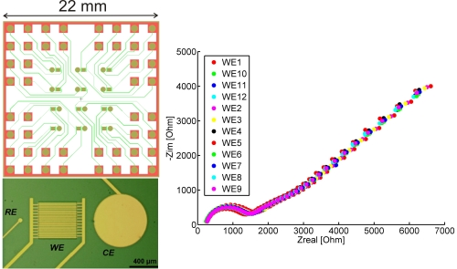 Sensors Free Full Text A Compact Microelectrode Array Chip With Multiple Measuring Sites For