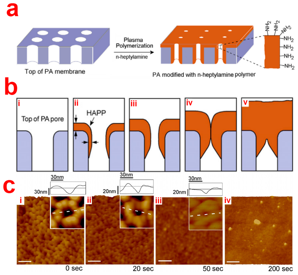 Nanoporous Anodic Alumina Platforms: Engineered Surface Chemistry and ...