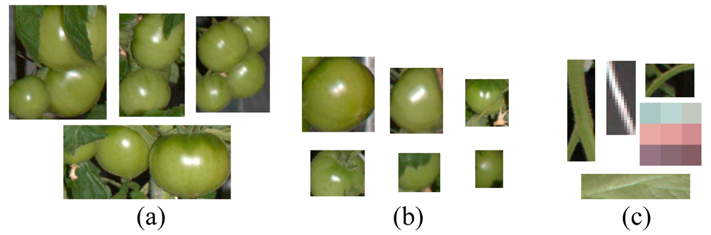 On Plant Detection of Intact Tomato Fruits Using Image Analysis and ...