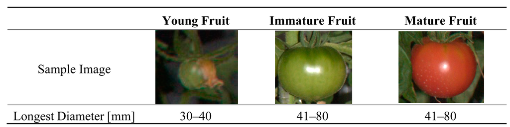 Sensors | Free Full-Text | On Plant Detection of Intact Tomato Fruits ...