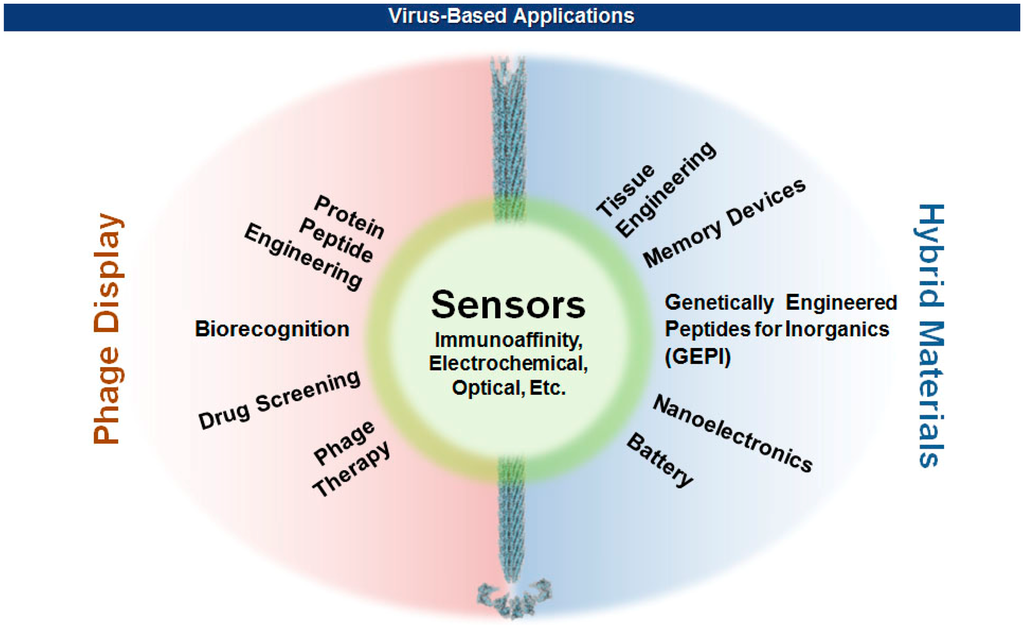 Sensors | Free Full-Text | Virus Outbreaks in Chemical and Biological ...
