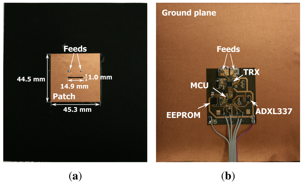 Synchronous Wearable Wireless Body Sensor Network Composed of ...