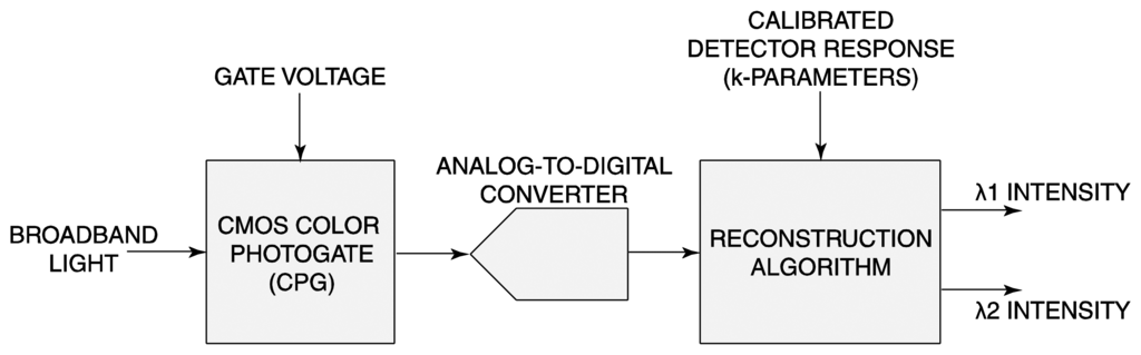 Sensors | Free Full-Text | CMOS Time-Resolved, Contact, and Multispectral Fluorescence Imaging ...