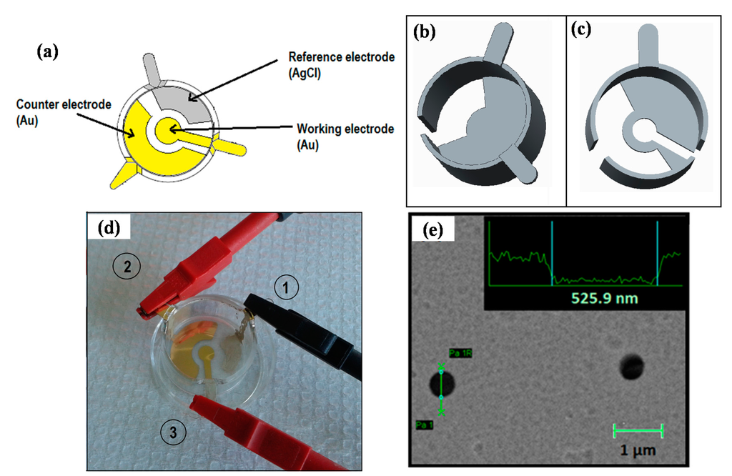Novel Membrane-Based Electrochemical Sensor for Real-Time Bio-Applications