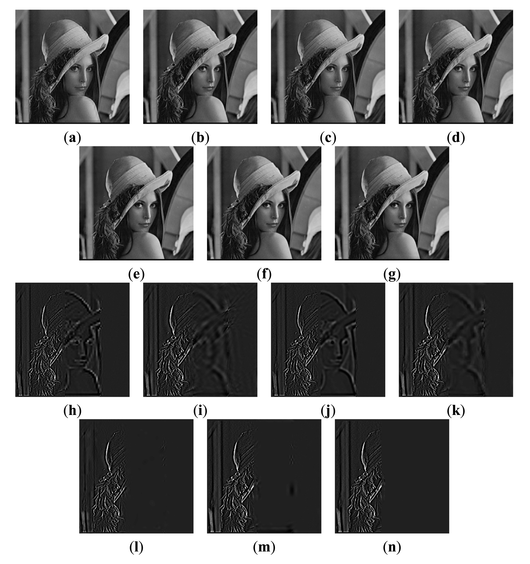 Sensors Free Full Text Dual Tree Complex Wavelet Transform And Image Block Residual Based