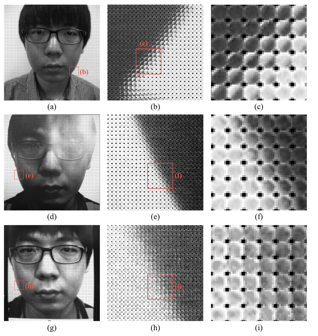 Sensors | Free Full-Text | Face Liveness Detection Using a Light Field ...