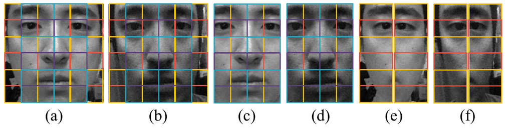 Sensors | Free Full-Text | Face Liveness Detection Using a Light Field ...