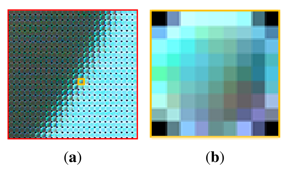 Sensors | Free Full-Text | Face Liveness Detection Using a Light Field ...