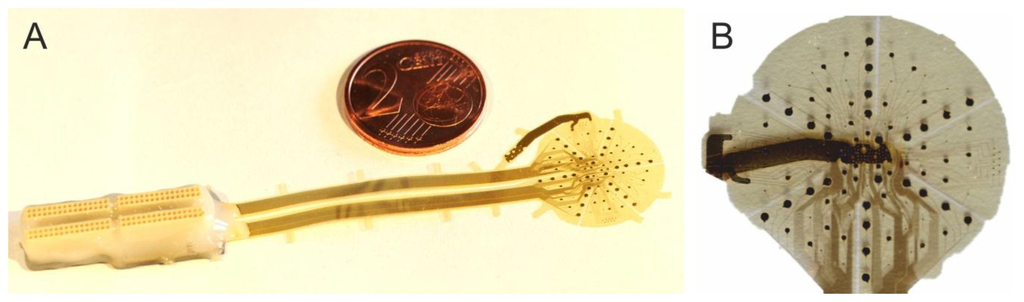 A Multi-Channel, Flex-Rigid ECoG Microelectrode Array for Visual ...