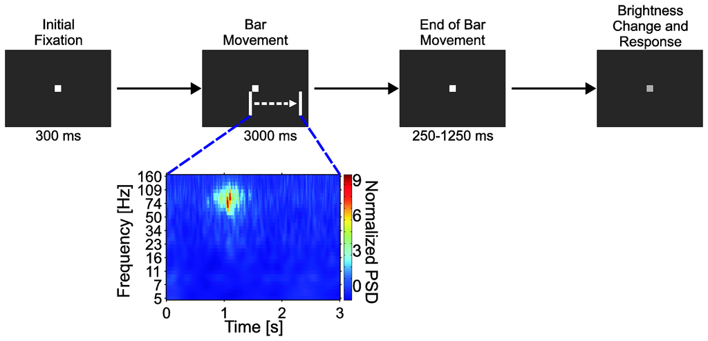 A Multi-Channel, Flex-Rigid ECoG Microelectrode Array for Visual Cortical Interfacing