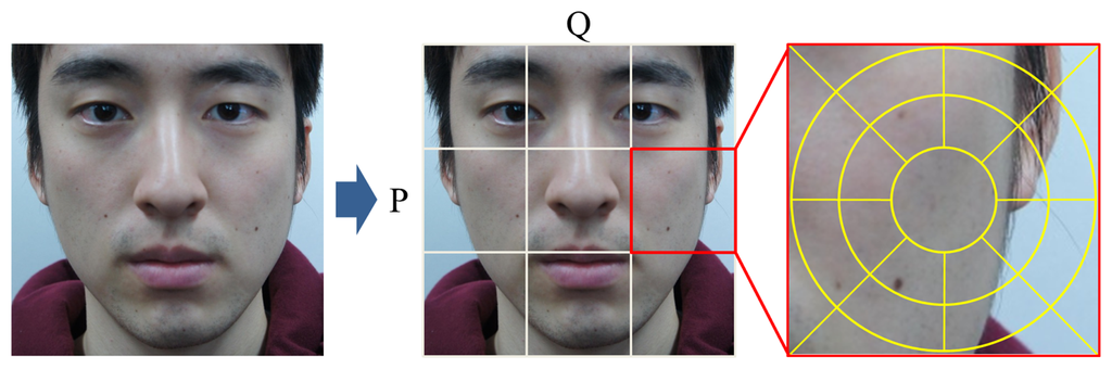 Sensors | Free Full-Text | Face Liveness Detection Using Defocus