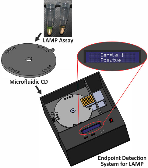 Sensors Free Full Text A Portable Automatic Endpoint Detection System For Amplicons Of Loop