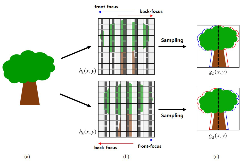 Sensor-Based Auto-Focusing System Using Multi-Scale Feature Extraction ...