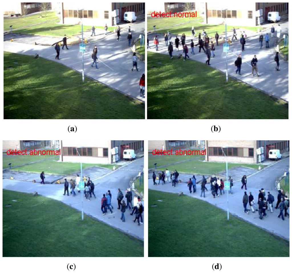 Detection of Abnormal Events via Optical Flow Feature Analysis
