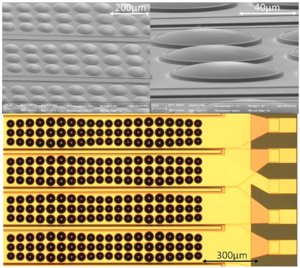 Piezoelectric Micromachined Ultrasound Transducer (PMUT) Arrays for Integrated Sensing ...