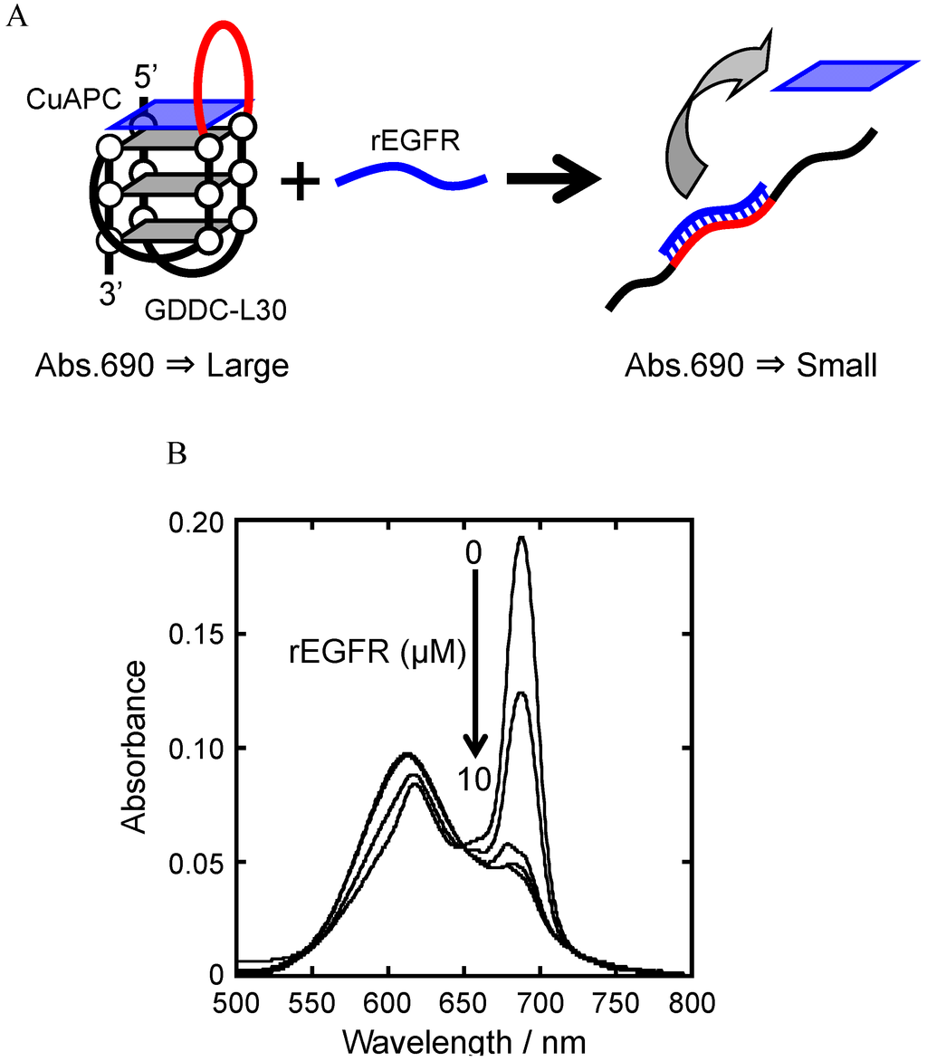 Sensors | Special Issue : Next-Generation Nucleic Acid Sensors