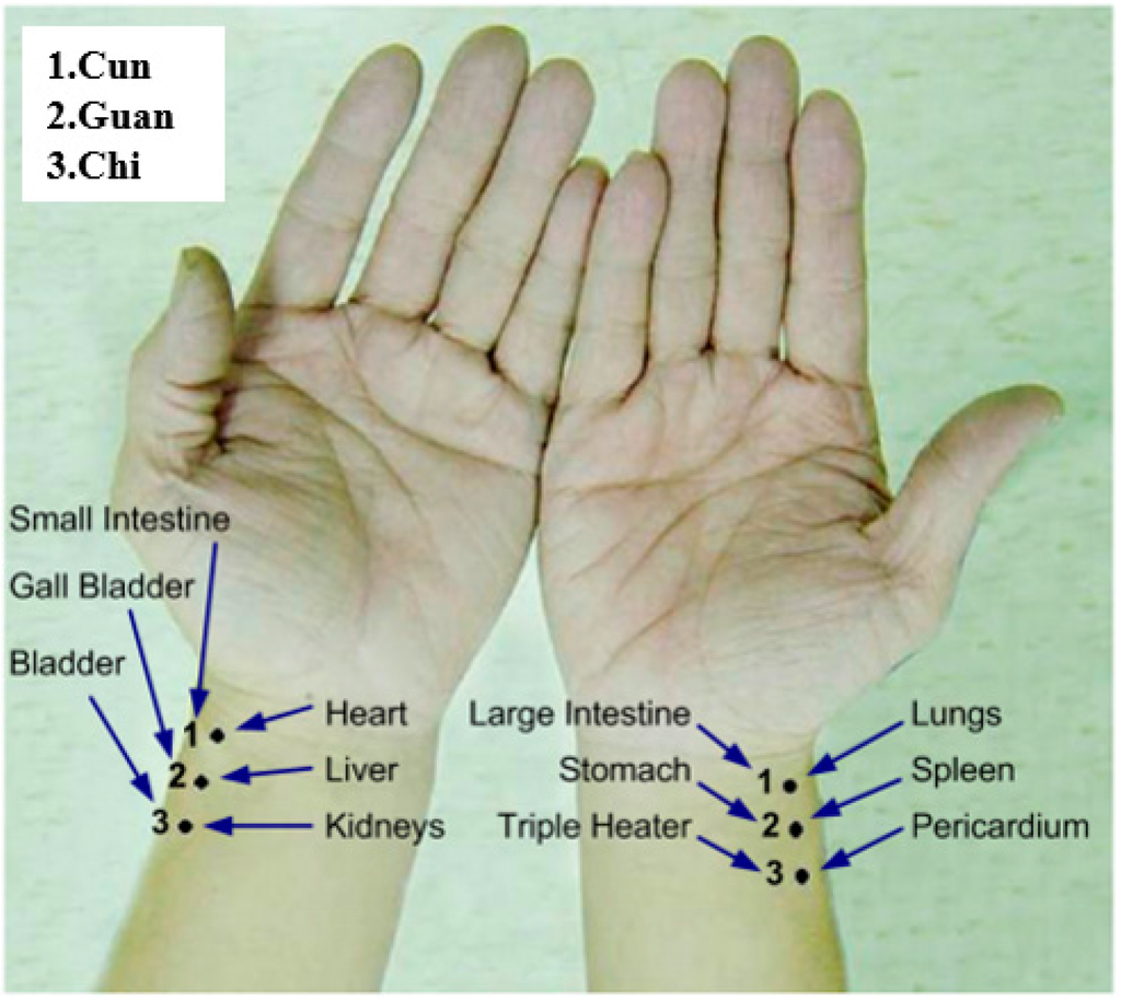 A Non-Contact Pulse Automatic Positioning Measurement System for ...
