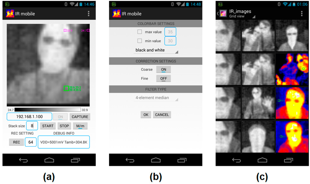 Infrared Thermal Imaging System on a Mobile Phone