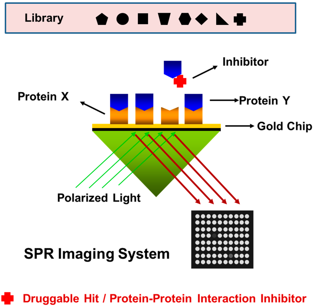 Sensors | Free Full-Text | Surface Plasmon Resonance: A Versatile Technique for Biosensor ...