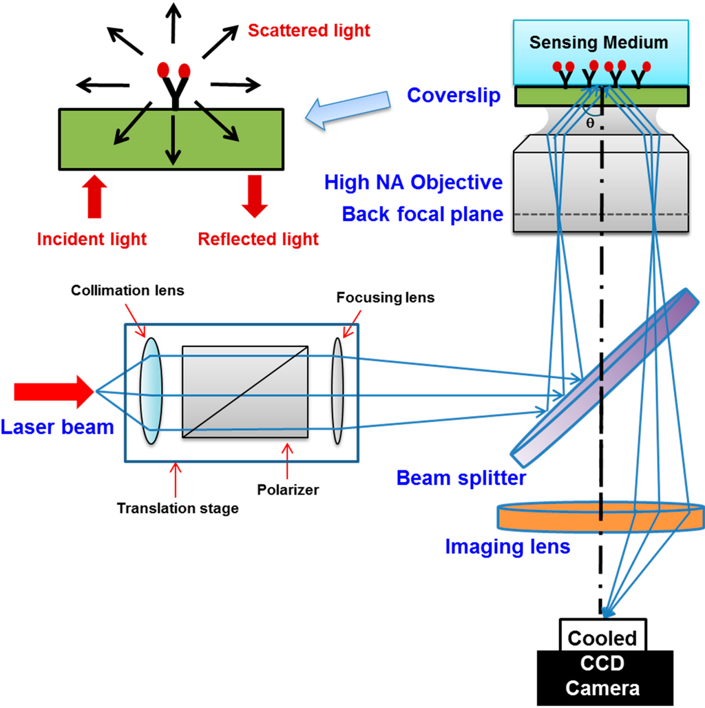 Sensors | Free Full-Text | Surface Plasmon Resonance: A Versatile ...